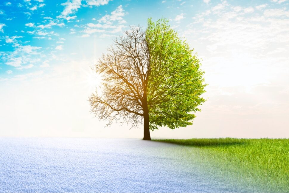 The Ultimate Checklist for Springtime Facility Maintenance - Facilities ...