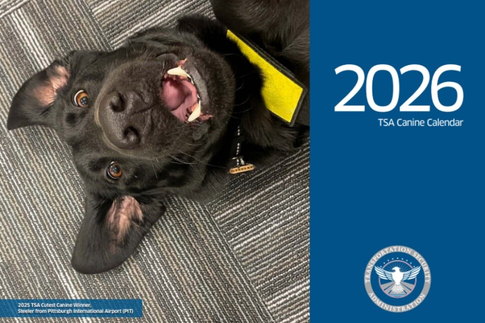 TSA's 2026 Canine Calendar Highlights Bomb-Sniffing Dogs - Facilities ...